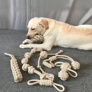 Dog Toys | Refresh your wardrobe at an affordable price