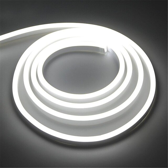 Waterproof LED Neon Tube 30M 25M 20M 15M 10M 5M 3M 2M 1M AC 220V-240V ...