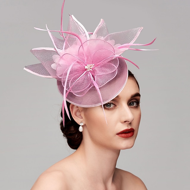 Feathers Net Fascinators Kentucky Derby Hats Headpiece with Feather Cap ...