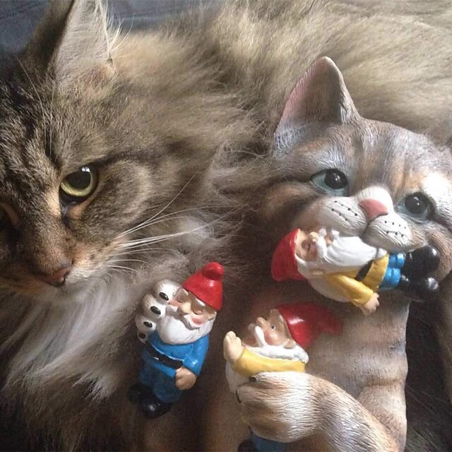Mischievous Cat Garden Gnome Statue Figurine - Best Art Dcor for Indoor ...