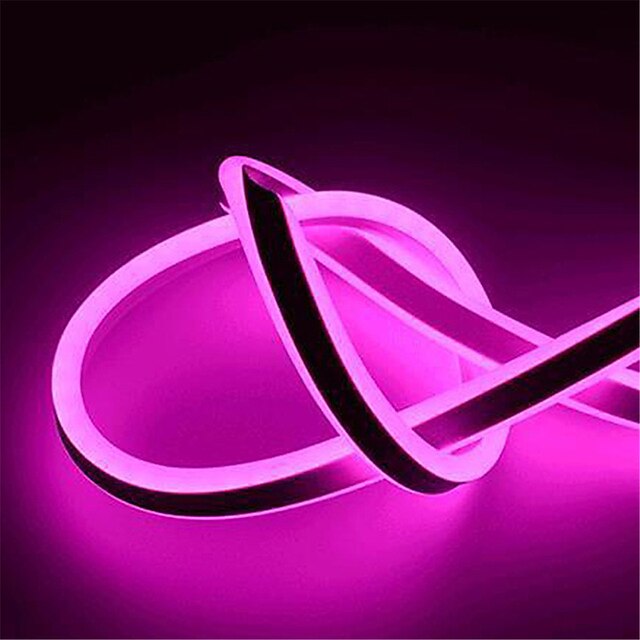 Waterproof LED Neon Tube 30M 25M 20M 15M 10M 5M 3M 2M 1M AC 220V-240V ...