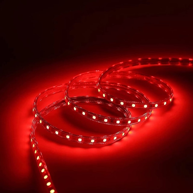 LED Strip Light Plug in Outdoor Waterproof IP67 AC220V 4040 LED Strip ...