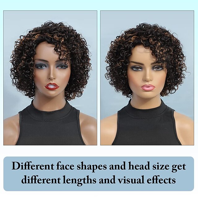 Ombre Short Curly Wigs For Black Women Short Curly Wigs Highlighted ...