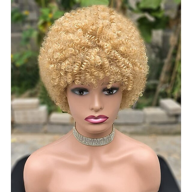 Short Curly Hair Wig Synthetic Curly Wigs for Black Women African ...