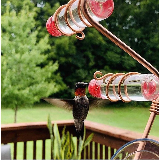 Window Hummingbird Feeder Window Mount Hummingbird Feeder Water Drinker ...