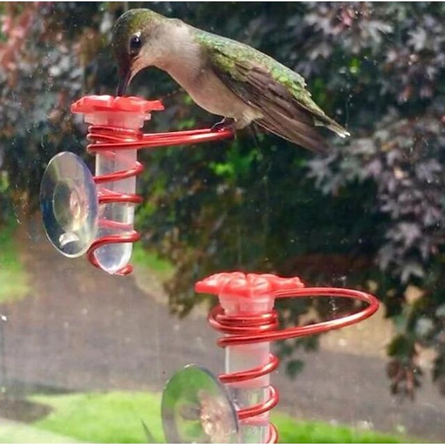 Window Hummingbird Feeder Window Mount Hummingbird Feeder Water Drinker ...