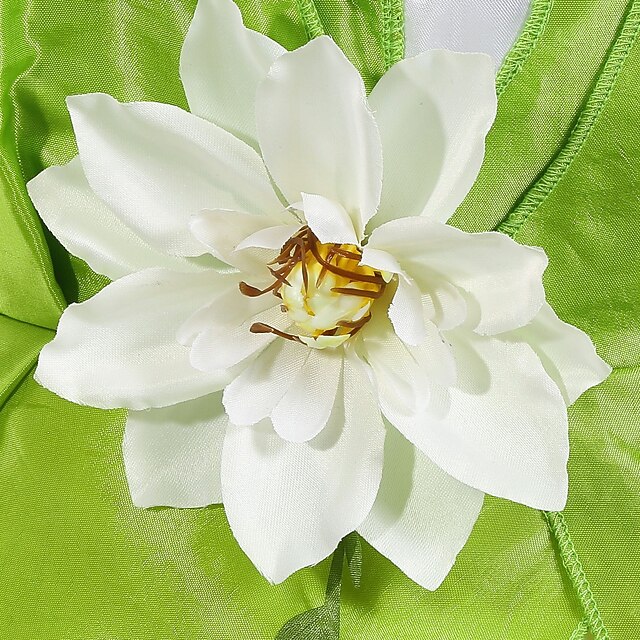 Tinker Bell Fairytale Princess Tiana Flower Girl Dress Theme Party ...