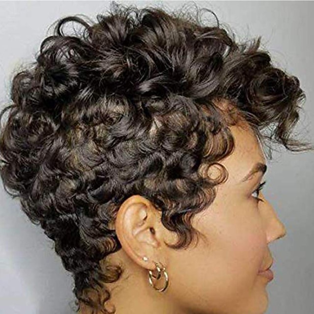 Hair Short Black Curly Hair Wigs For Black Women Synthetic Short Wigs ...