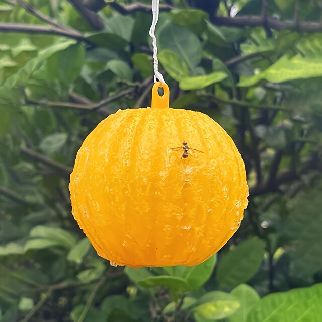 Sticky Traps Balls, Houseplant Sticky Bug Traps Capturing Fruit Flies ...