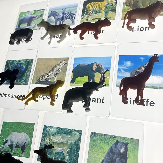 Montessori Teaching Aids Animal Model Card Matching Literacy Literacy ...