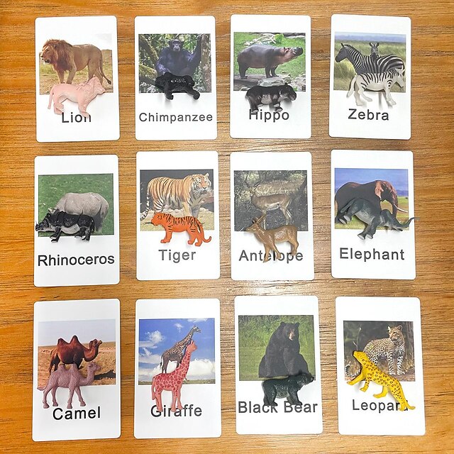 Montessori Teaching Aids Animal Model Card Matching Literacy Literacy ...