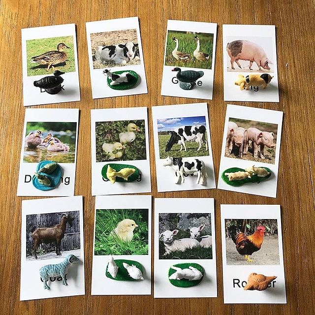 Montessori Teaching Aids Animal Model Card Matching Literacy Literacy ...
