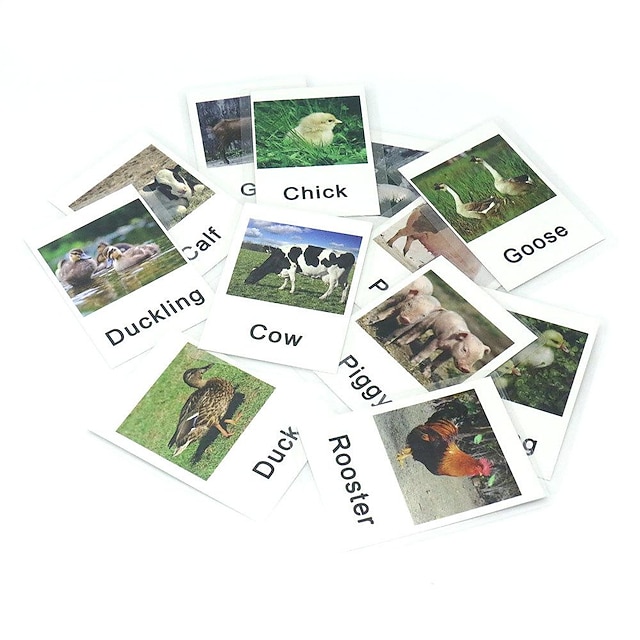 Montessori Teaching Aids Animal Model Card Matching Literacy Literacy ...
