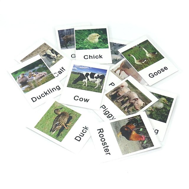 Montessori Teaching Aids Animal Model Card Matching Literacy Literacy ...