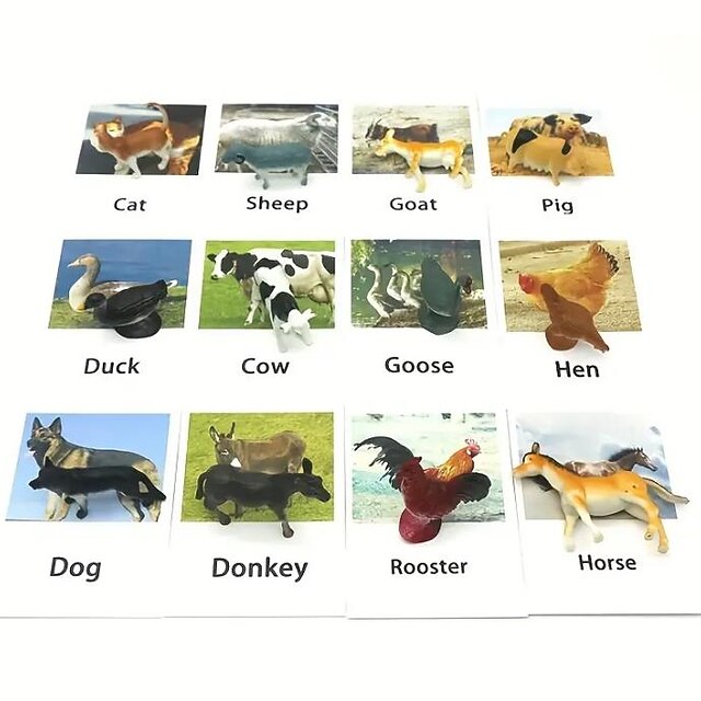 Montessori Teaching Aids Animal Model Card Matching Literacy Literacy ...