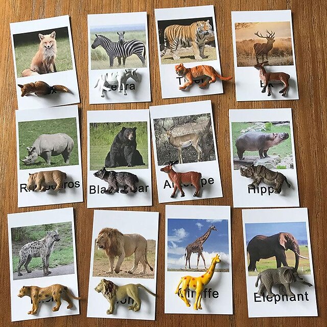 Montessori Teaching Aids Animal Model Card Matching Literacy Literacy ...