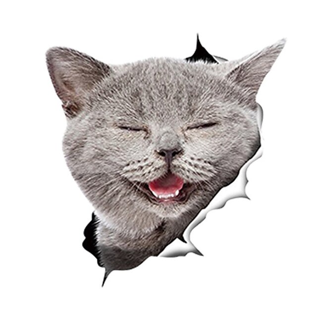Winston & Bear 3D Cat Stickers - 2 Pack - Black Cat Wall Decals - Cat ...