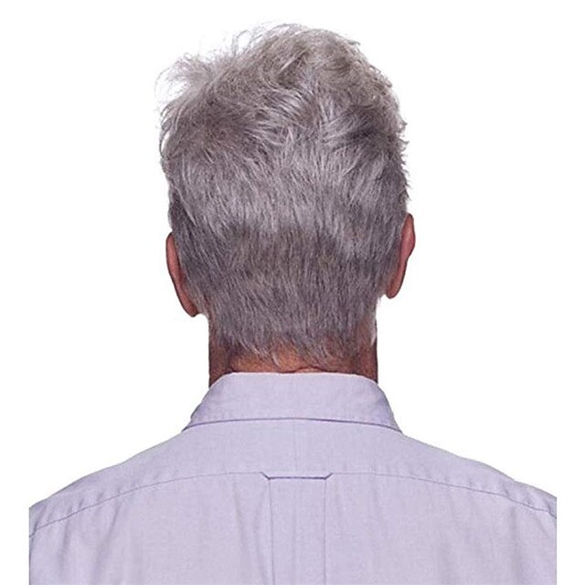 Mens Short Grey White Wigs Fluffy and Realistic Short Hair Old Man Wig ...