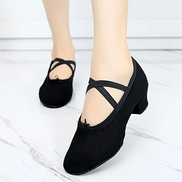 Women's Canvas Ballet Shoes, Low Heel Dance Training Shoes with Suede ...