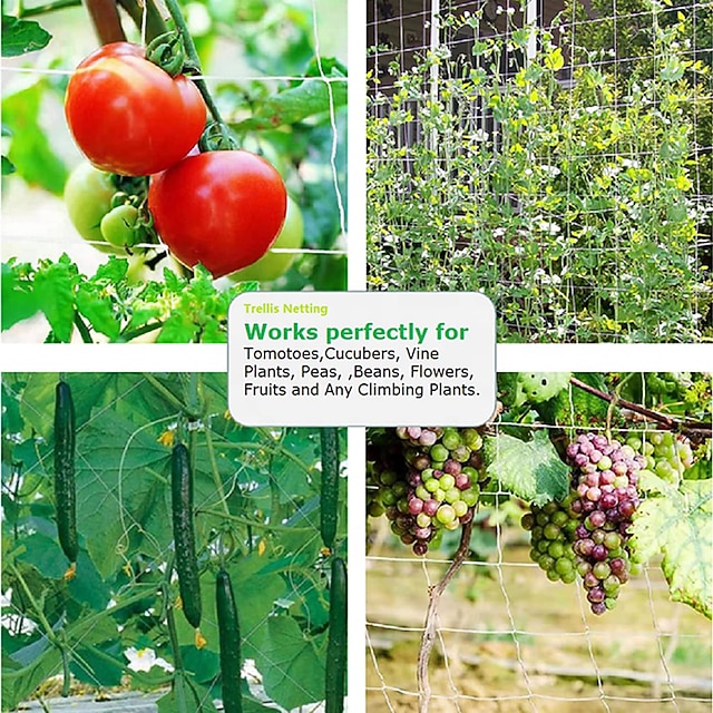 Trellis Netting Heavy-Duty Garden Plant Trellis Netting for Climbing ...