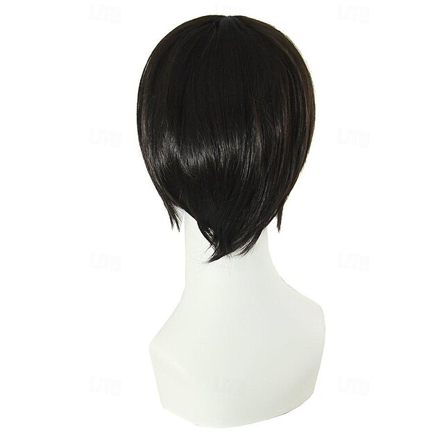 Perruque droite courte pour hommes 12 pouces/30 cm perruque de costume ...