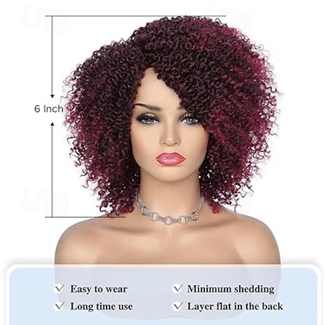 Short Kinky Curly Wigs Side Part Afro Curly Wig for Black Women Twist ...