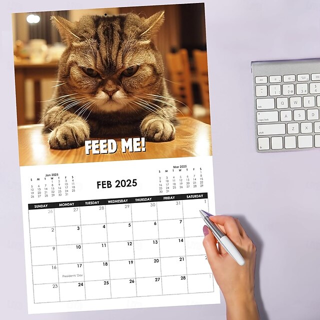 2025 Peed-Off Cats Calendar - Funny Cat Themed Gifts For Cat Lovers ...