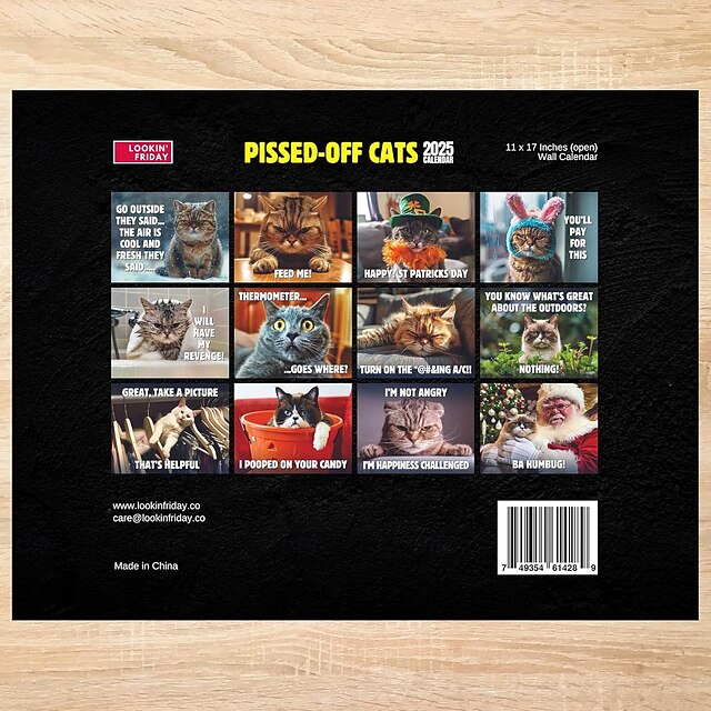 2025 Peed-Off Cats Calendar - Funny Cat Themed Gifts For Cat Lovers ...