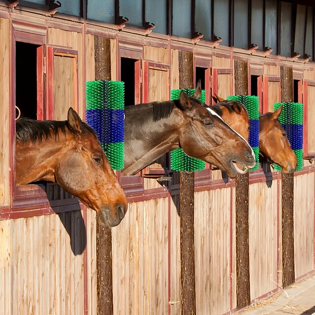 Large Size Hair Removal Brush For Horse Stable And Pasture, Horse ...