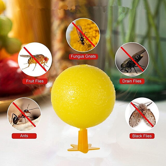 2PCS Fruit Fly Traps with LED Night Light, Sticky Flying Insects Trap ...
