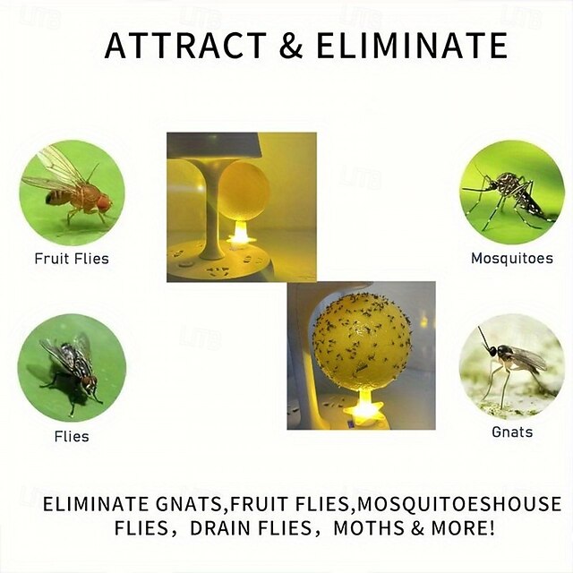 2PCS Fruit Fly Traps with LED Night Light, Sticky Flying Insects Trap ...
