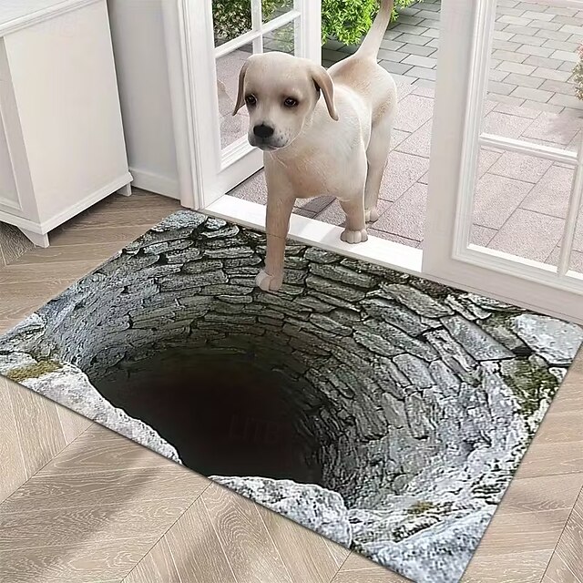 3D Optical Illusion Doormat Visual Trap Floor Mat Non Slip Deep Hole ...