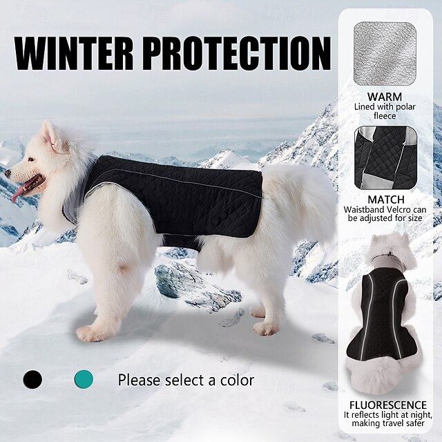 Warm Dog Coat Dog Jacket Waterproof Puppy Winter Coat with Buckles ...