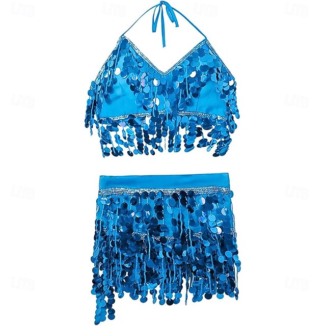 Samba Dancewear Belly Dance Skirt with Crop Top Sequins Fringe Skirts ...