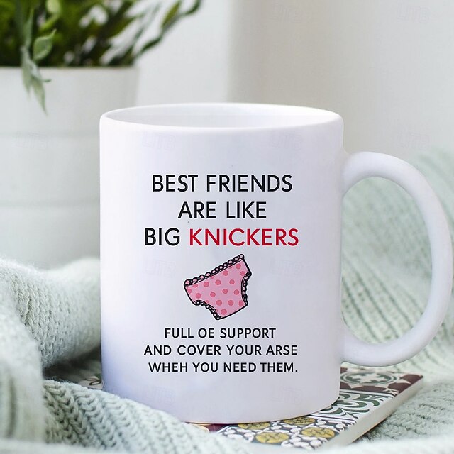 Funny Ceramic Mug Best Friends Are Like Big Knickers Perfect Humorous ...
