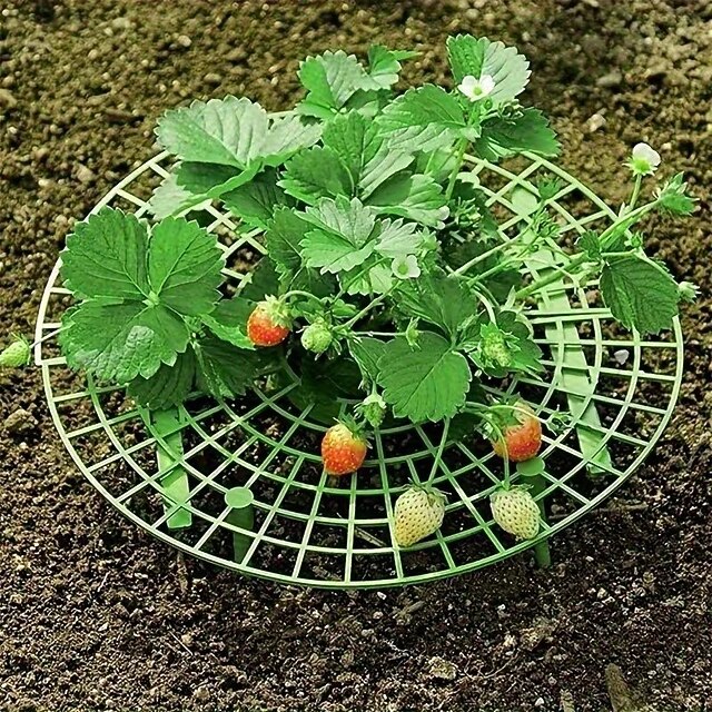 8-in-1 Set - High-Quality Strawberry Growing Pot - Quick Installation ...