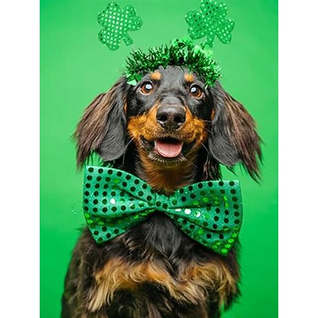 Women's St. Patrick's Day 3-Piece Shamrock Costume Accessories Set ...
