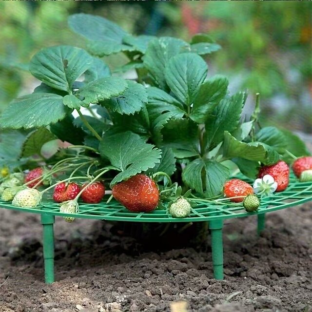 8-in-1 Set - High-Quality Strawberry Growing Pot - Quick Installation ...