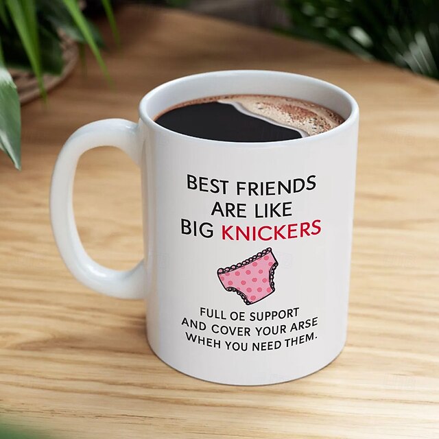 Funny Ceramic Mug Best Friends Are Like Big Knickers Perfect Humorous ...