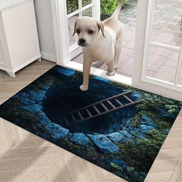 3D Optical Illusion Doormat Deep Well with Wooden Ladder Design 2D Flat ...