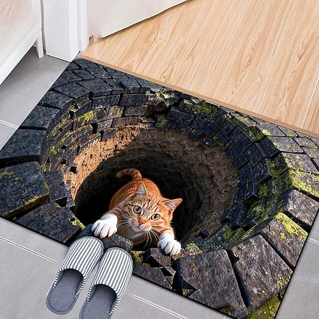Front Door Visual Mat, 3D Optical Illusion All Weather Diatomaceous Mud ...