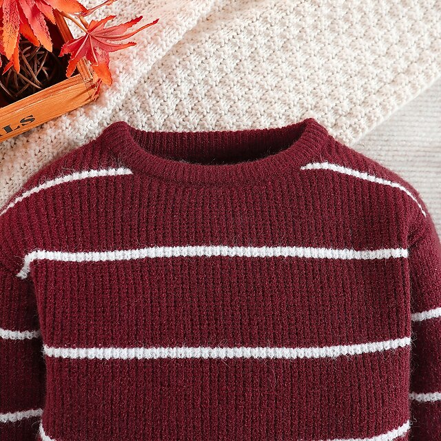 Toddler Boys' Sweater Stripe Long Sleeve Crewneck Casual Fashion Red ...