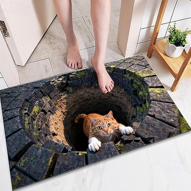 Front Door Visual Mat, 3D Optical Illusion All Weather Diatomaceous Mud ...
