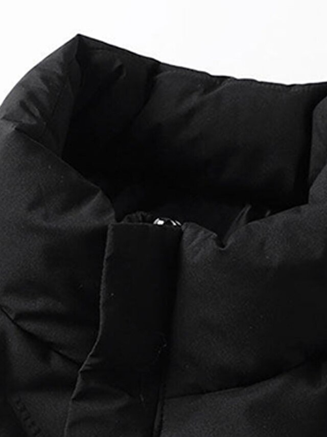 Men's Winter Coat Down Jacket Zipper Pocket Duck Down Vacation Going ...