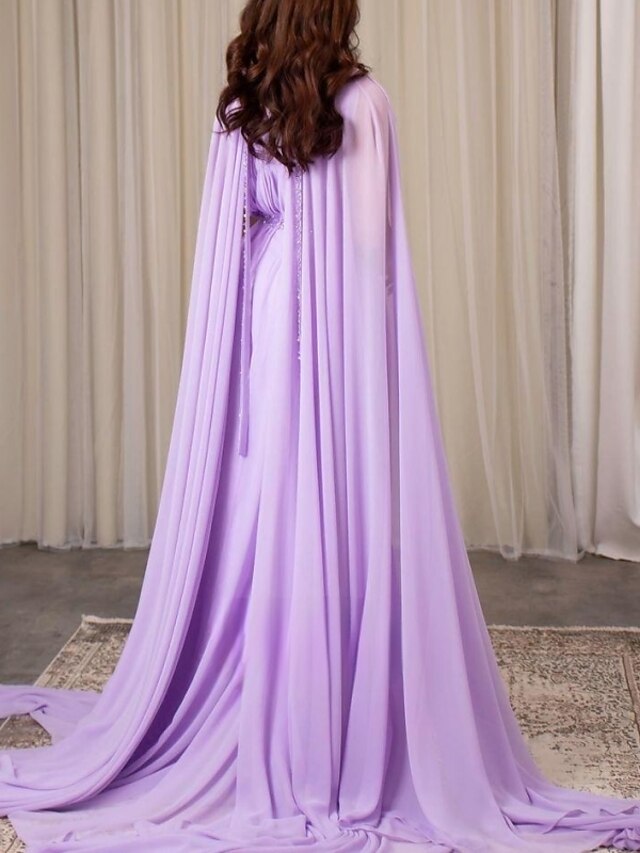 A-Line Evening Gown Elegant Dress Formal Fall Court Train Long Sleeve V ...