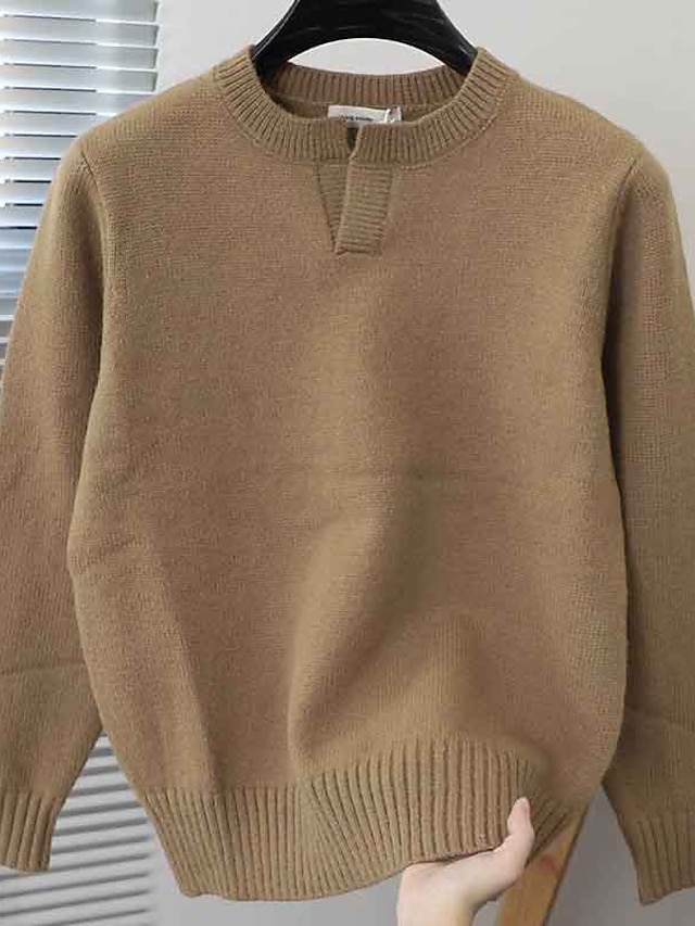 Men's Pullover Sweater Jumper Jumper Ribbed Knit Regular Knitted Plain ...