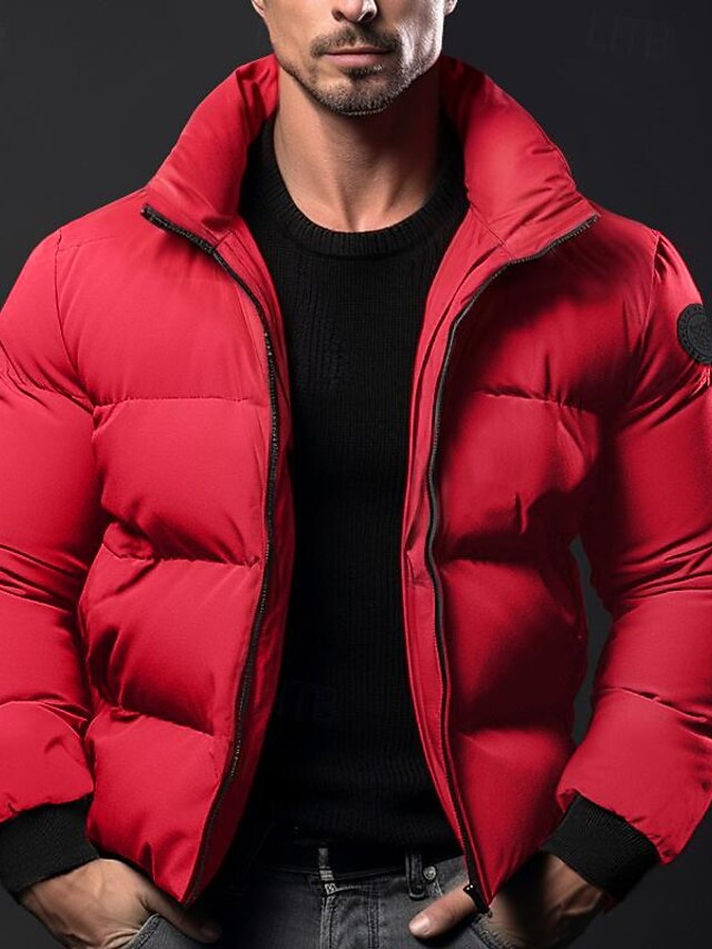 Men's Winter Coat Winter Jacket Puffer Jacket Zipper Pocket Polyster ...