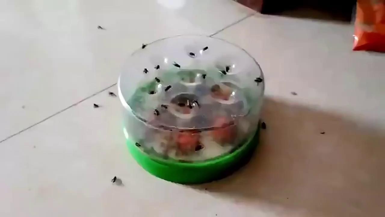 Automatic Fly Trap Fly Killer Home Garden Restaurant Fly Trap To Catch ...